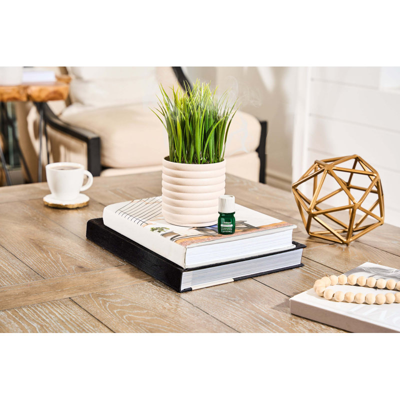 Lifelines Plant Diffuser - Grass Plant - Bubble White & Reviews | Wayfair
